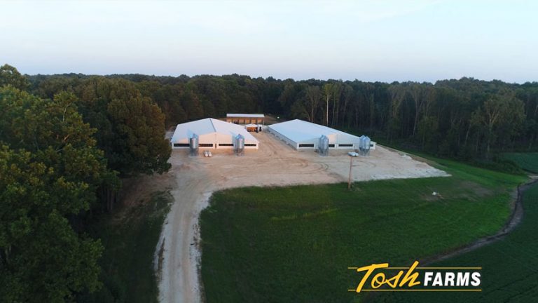 Tosh Farms Archives - AgCreate